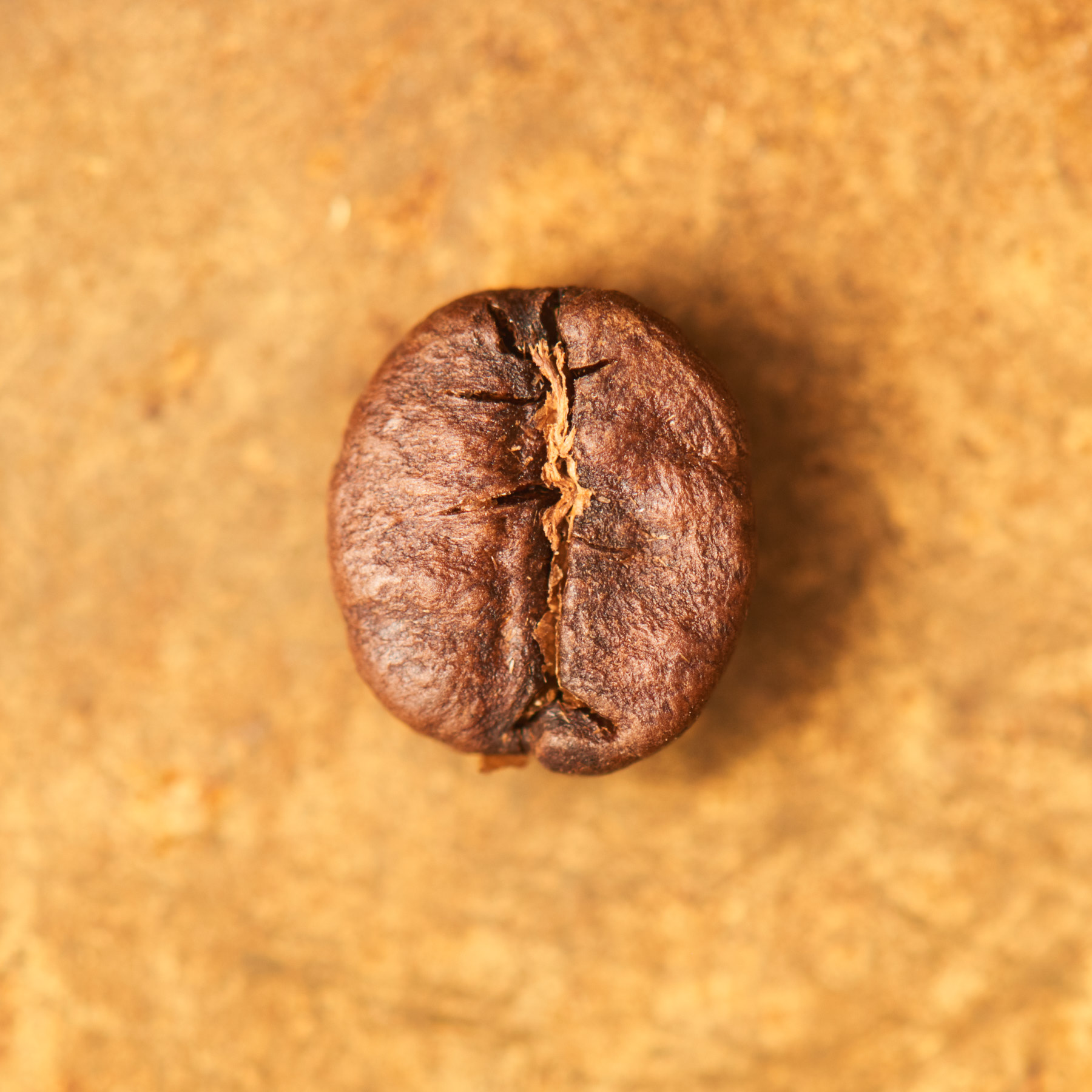 Yellow Bourbon | Bohnen | 250G | Coffeum